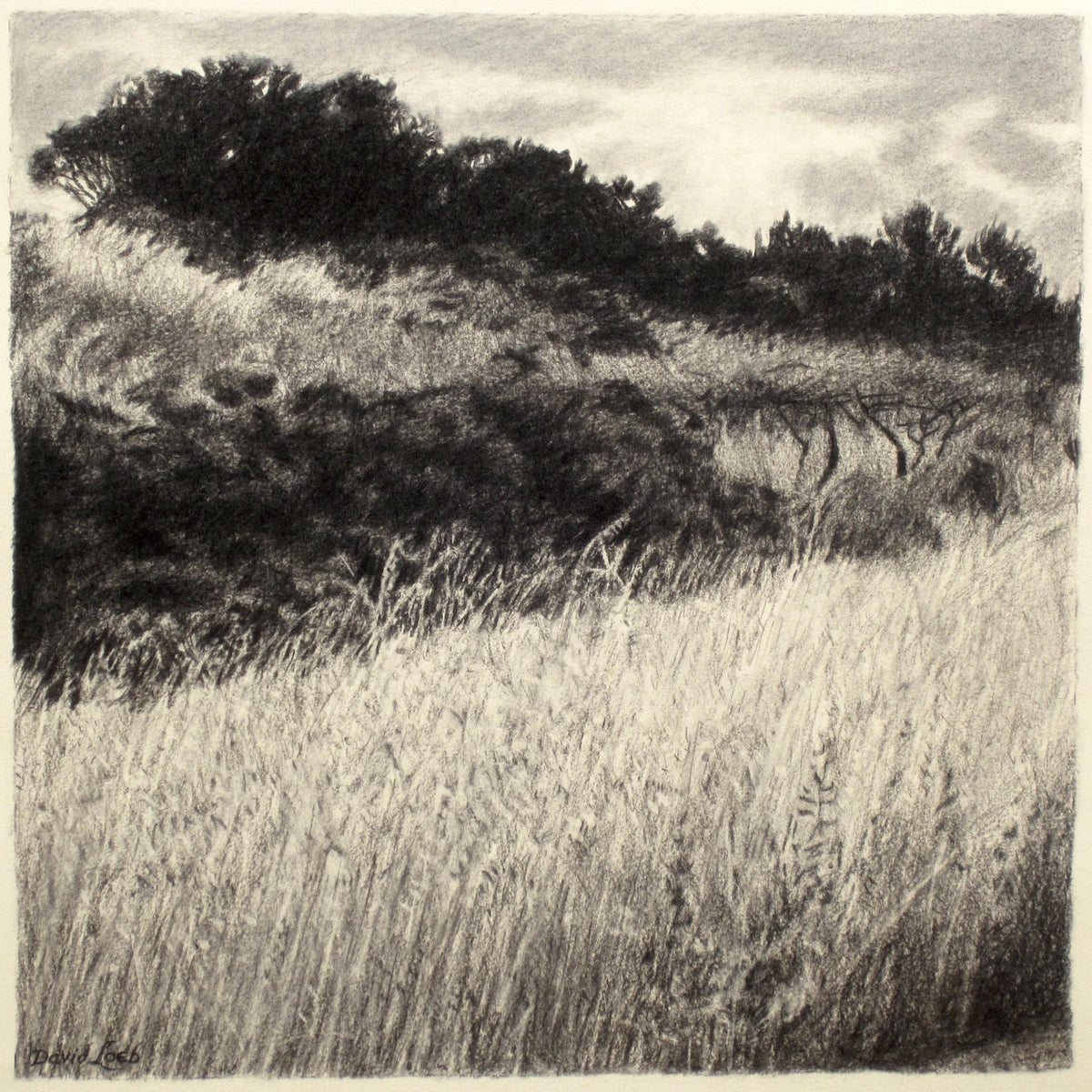 David Loeb: Landscape Drawings – WOA Gallery